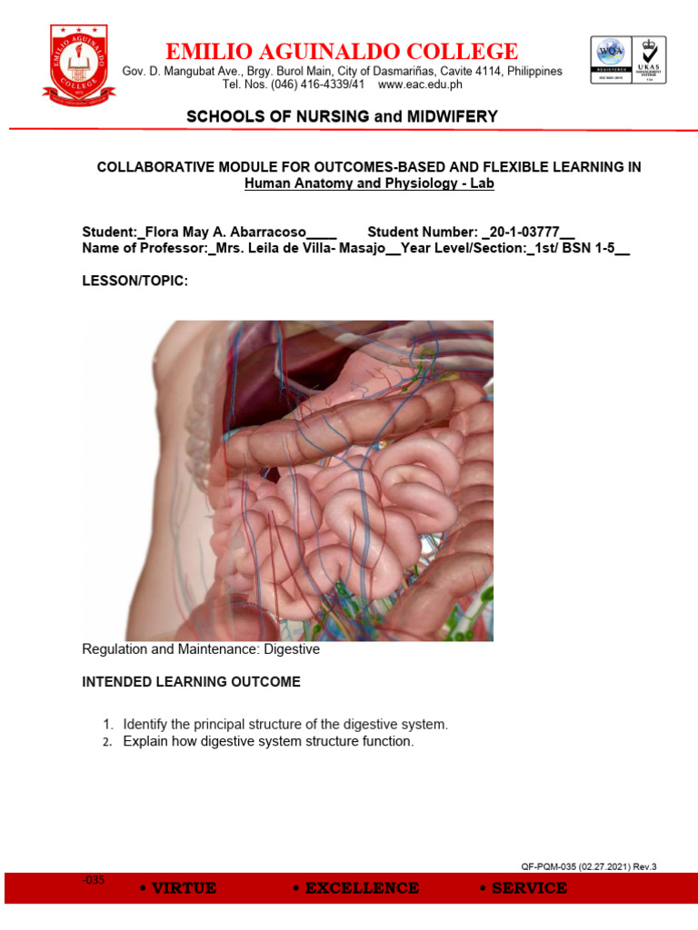 Digestive System Anatomy and Function | PDF | Gastrointestinal Tract ...