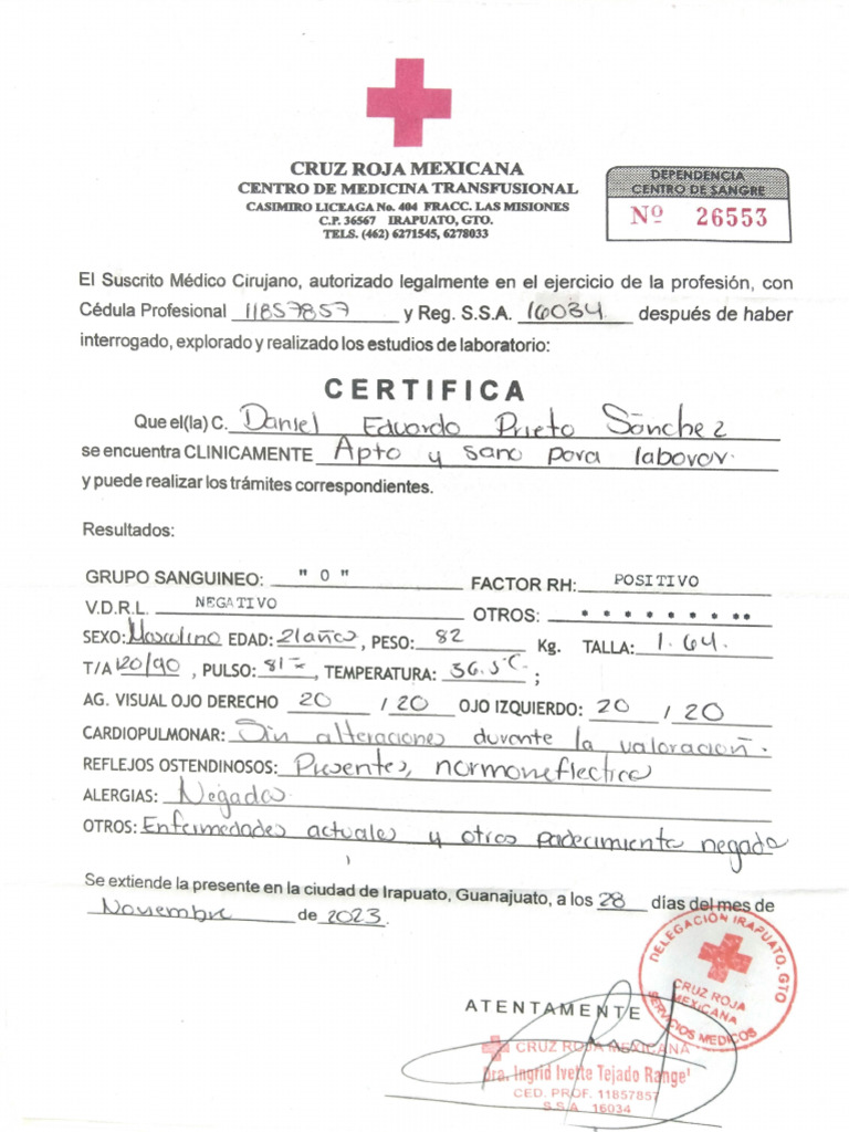 Certificado Daniel | PDF