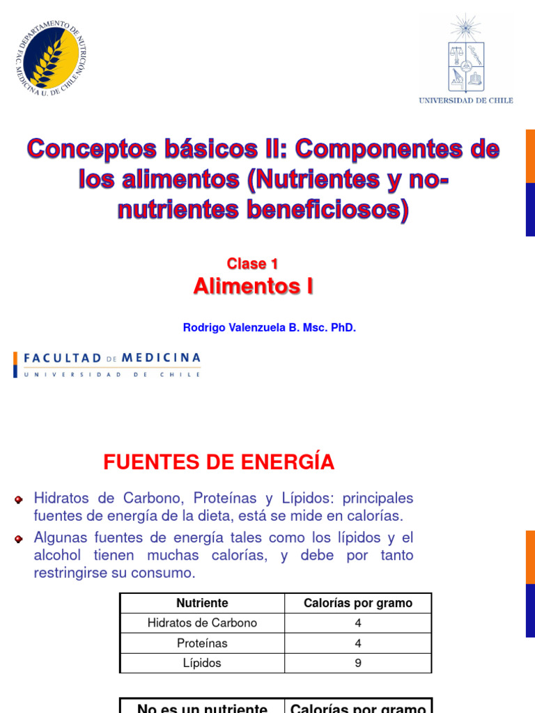 Conceptos B Sicos de Alimentos II Clase 1-1 | PDF | Carbohidratos | Polisacárido