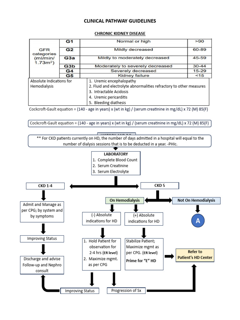 Clinical Pathway Guidelines: Chronic Kidney Disease | PDF | Chronic ...