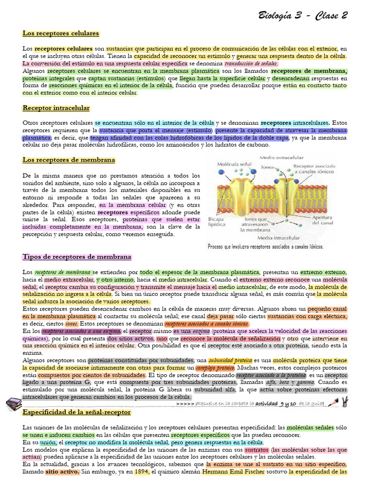 Receptores | PDF | Receptor (Bioquímica) | Membrana celular