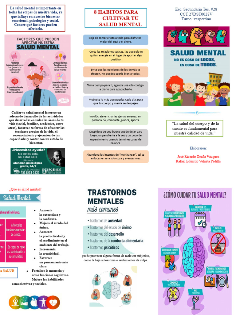 Triptico Salud Mental | PDF | Mente | Las emociones