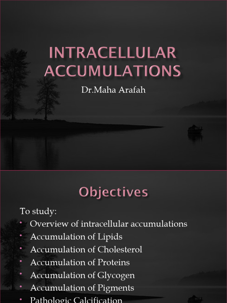 Overview of Intracellular Accumulations | PDF | Clinical Medicine ...