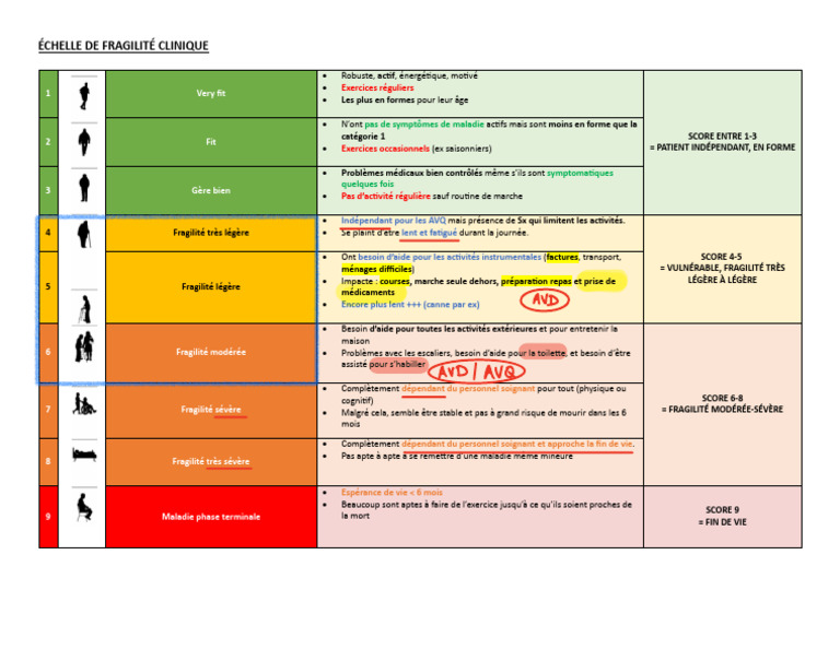 Échelle de Fragilité Clinique | PDF