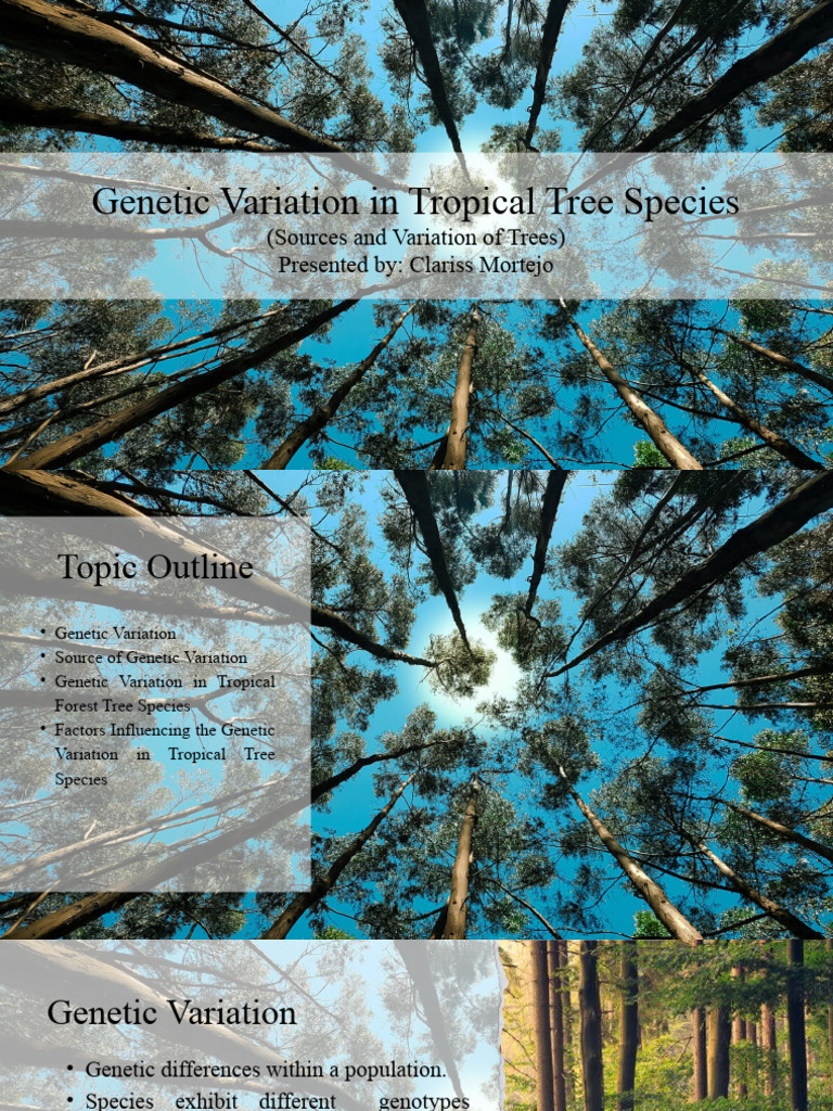 Sources-and-Variation-of-Trees 2 | PDF | Genetics | Genetic Variation