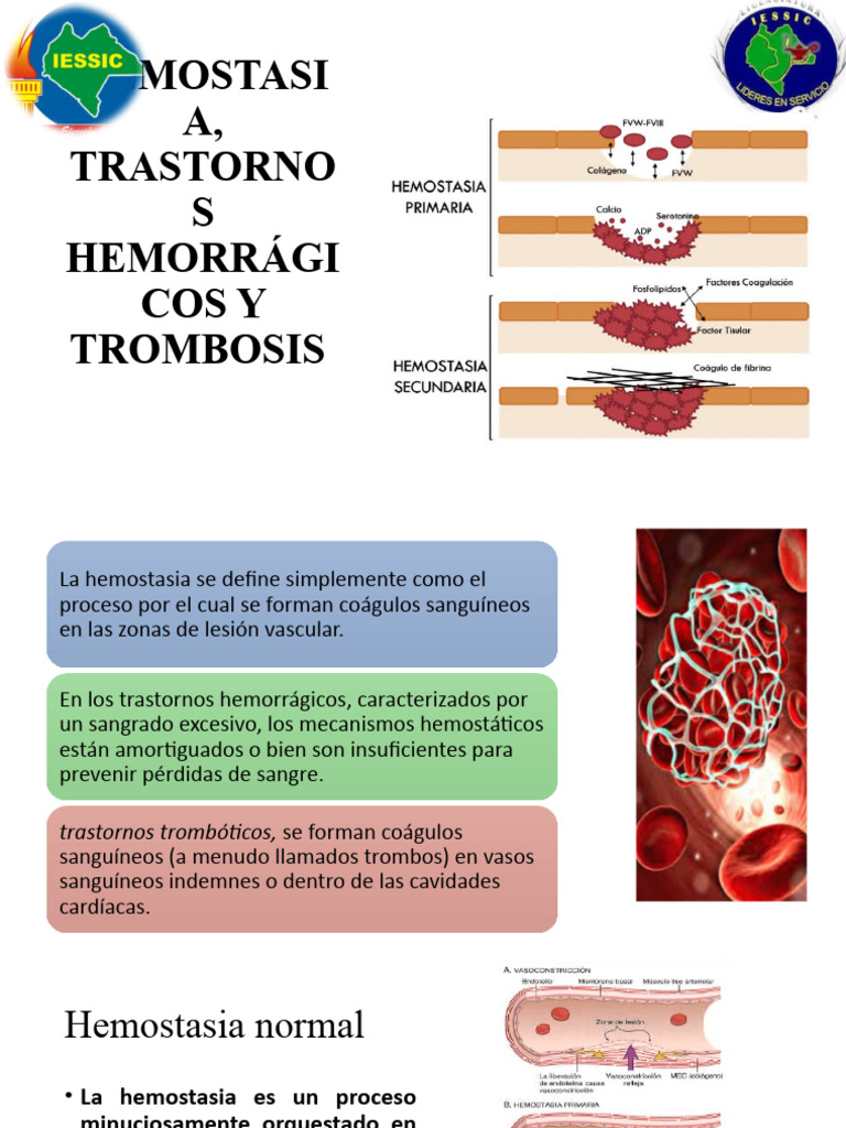 Hemostasia, Trastornos Hemorrágicos y Trombosis | PDF