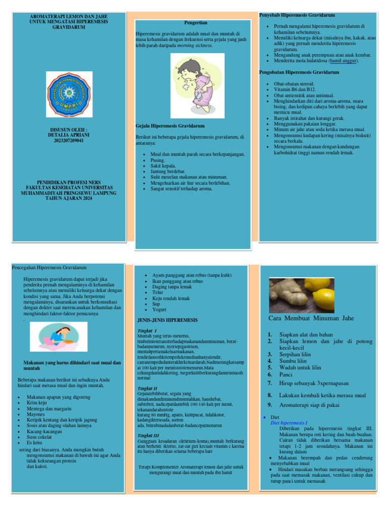 Leaflet Hiperemesis | PDF
