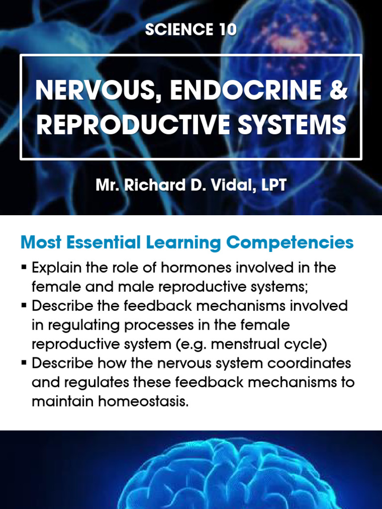 3-1 Nervous, Endocrine, and Reproductive System | PDF | Menstrual Cycle | Nervous System