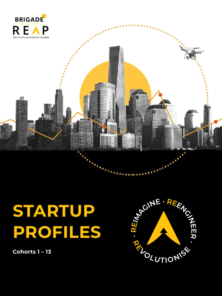 Brochure REAP | PDF | Business | Technology & Engineering