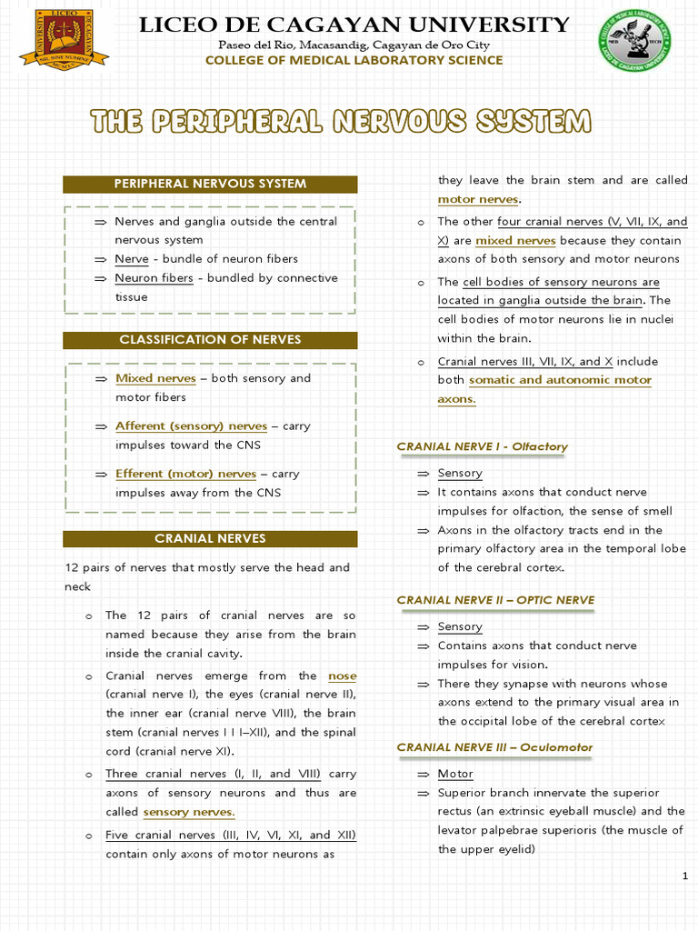PERIPHERAL NERVOUS SYSTEM (Not Final) | PDF