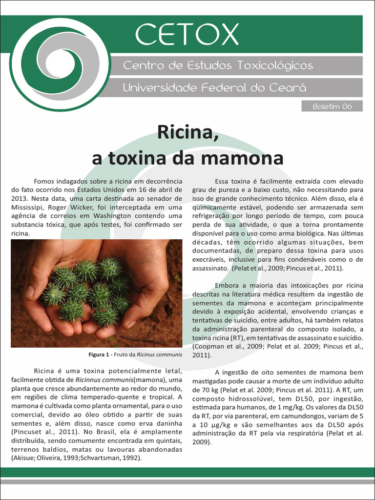 Boletim 06 Ricina | PDF