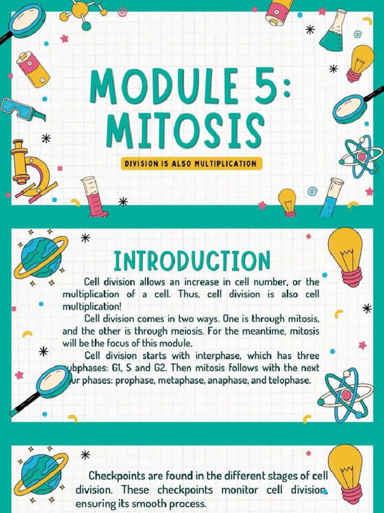 Mitosis Division Is Also Multiplication | PDF