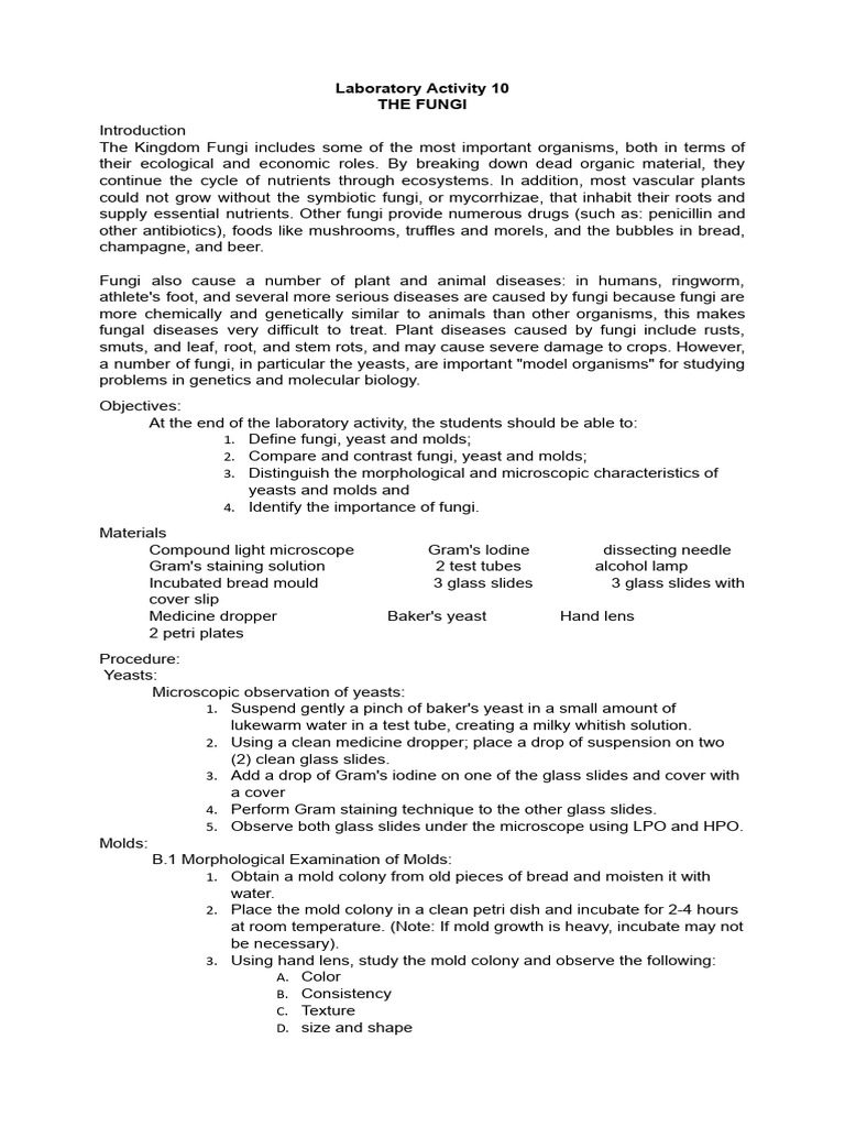 The Fungi | PDF | Fungus | Yeast
