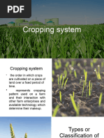 What Is Ratooning | PDF | Agriculture | Horticulture