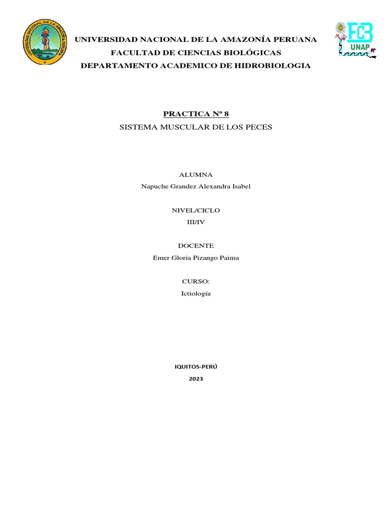 Musculatura Epiaxial y Hipoaxial en Peces | PDF | Músculo esquelético | Pescado