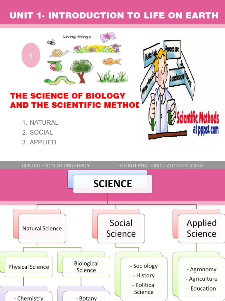 3.+Branches+&+Scientific+Method Powerpoint | PDF | Experiment | Scientific Method