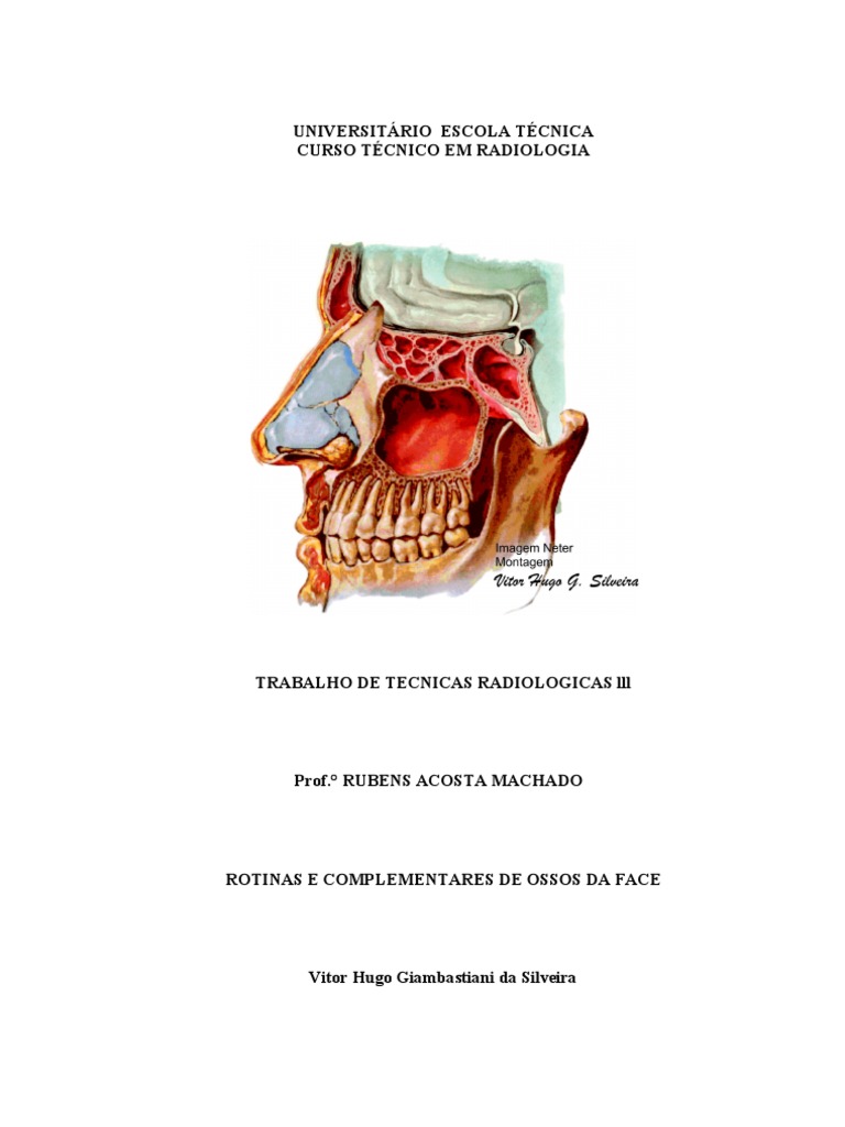 Ossos Da Face | Sistema Locomotor | Especialidades Médicas