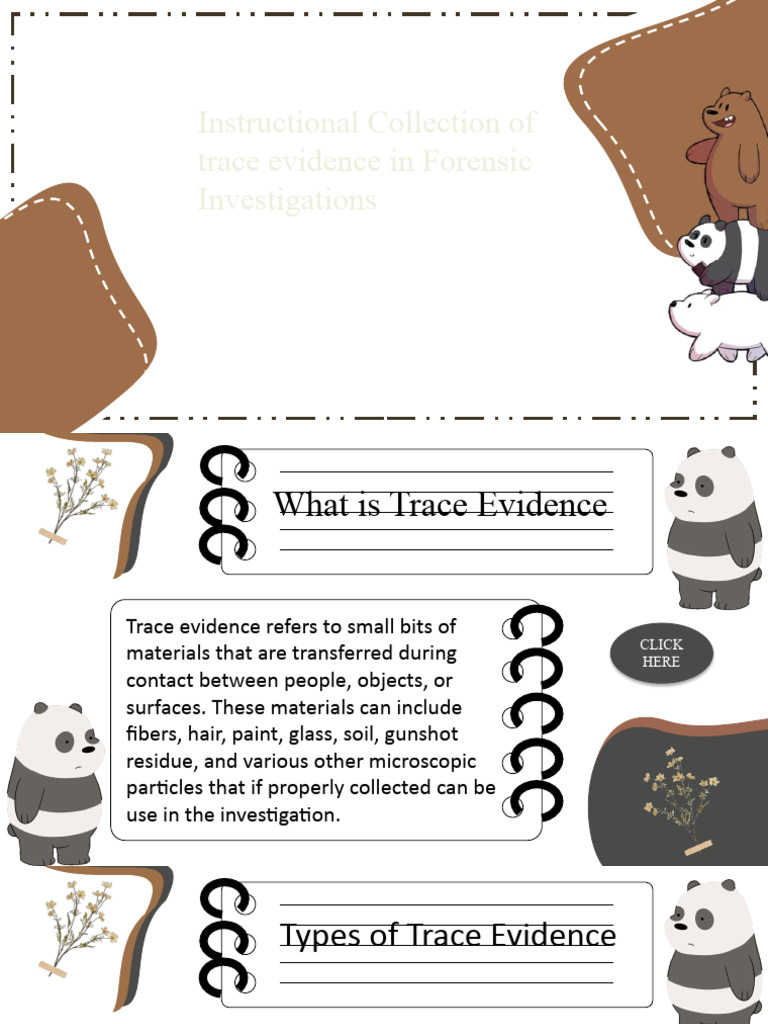 Instructional Collection of Trace Evidence in Forensic Investigations | PDF