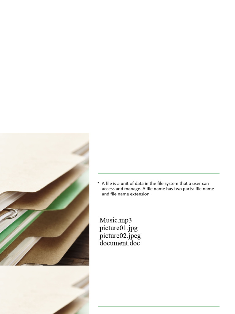 Common File Types | PDF