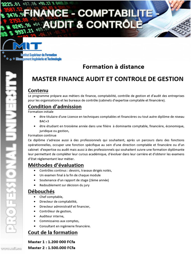 Master Finance, Audit et Contrôle à Distance | PDF | Audit | Comptabilité