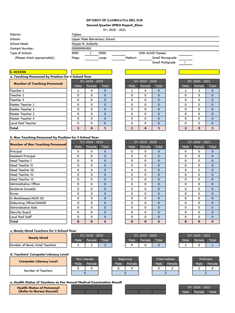 2Q DMEPA 2021 Form V2 Official1-Final | PDF