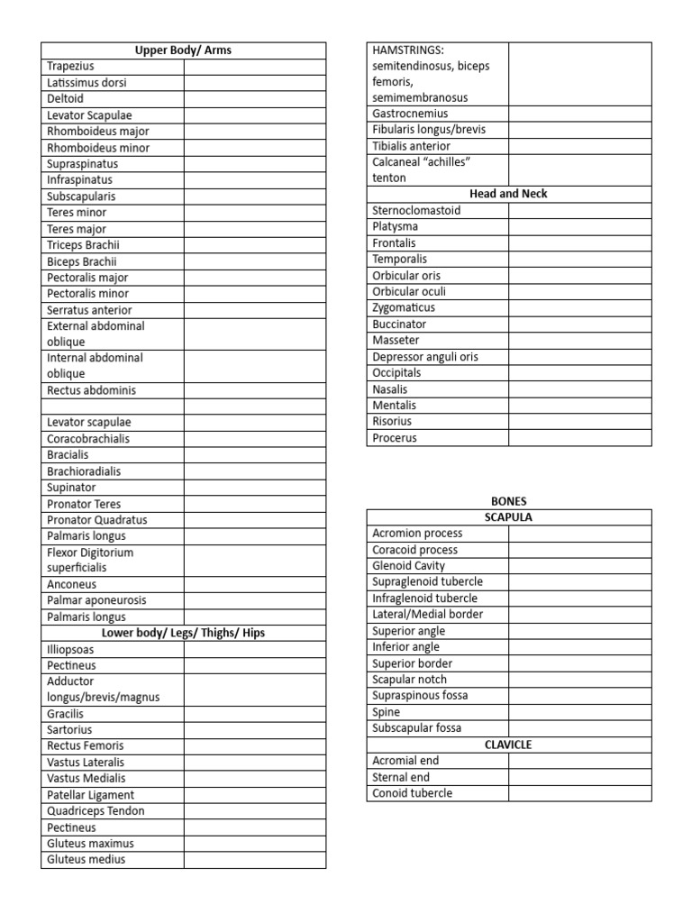 LIST OF MUSCLES and BONES | PDF