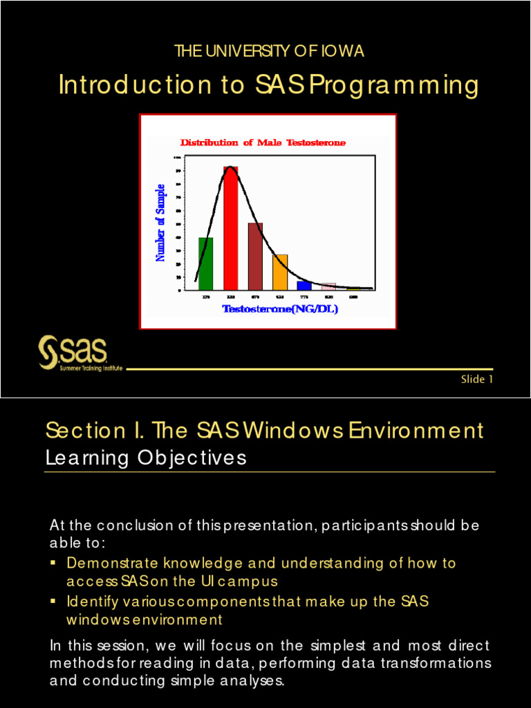 Base Sas | PDF | Sas (Software) | Computer File
