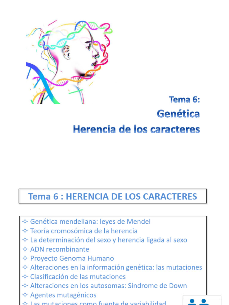 Tema6 1 | PDF | Mutación | Alelo