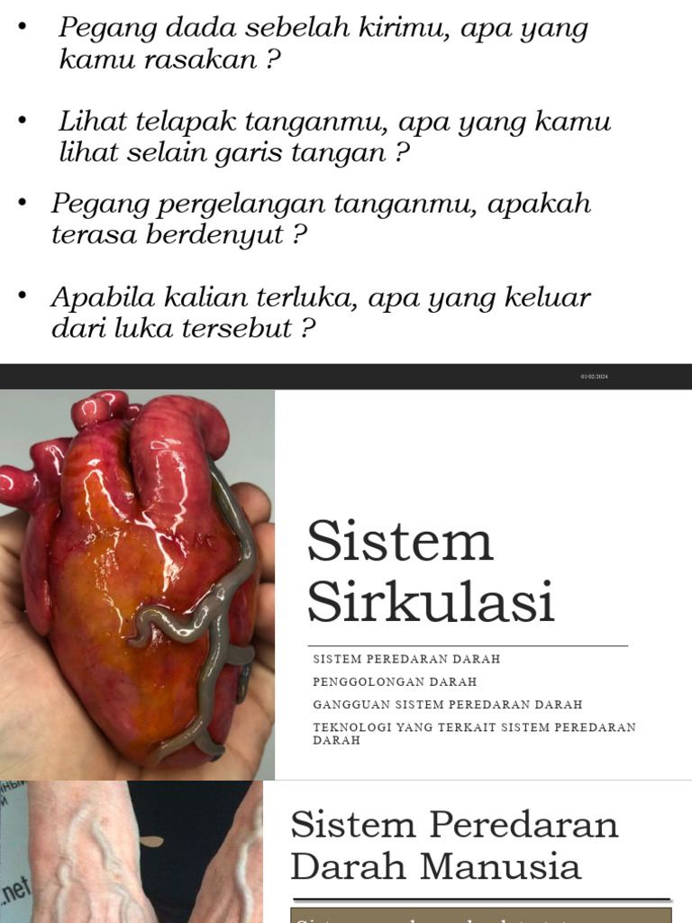 Sistem Sirkulasi | PDF