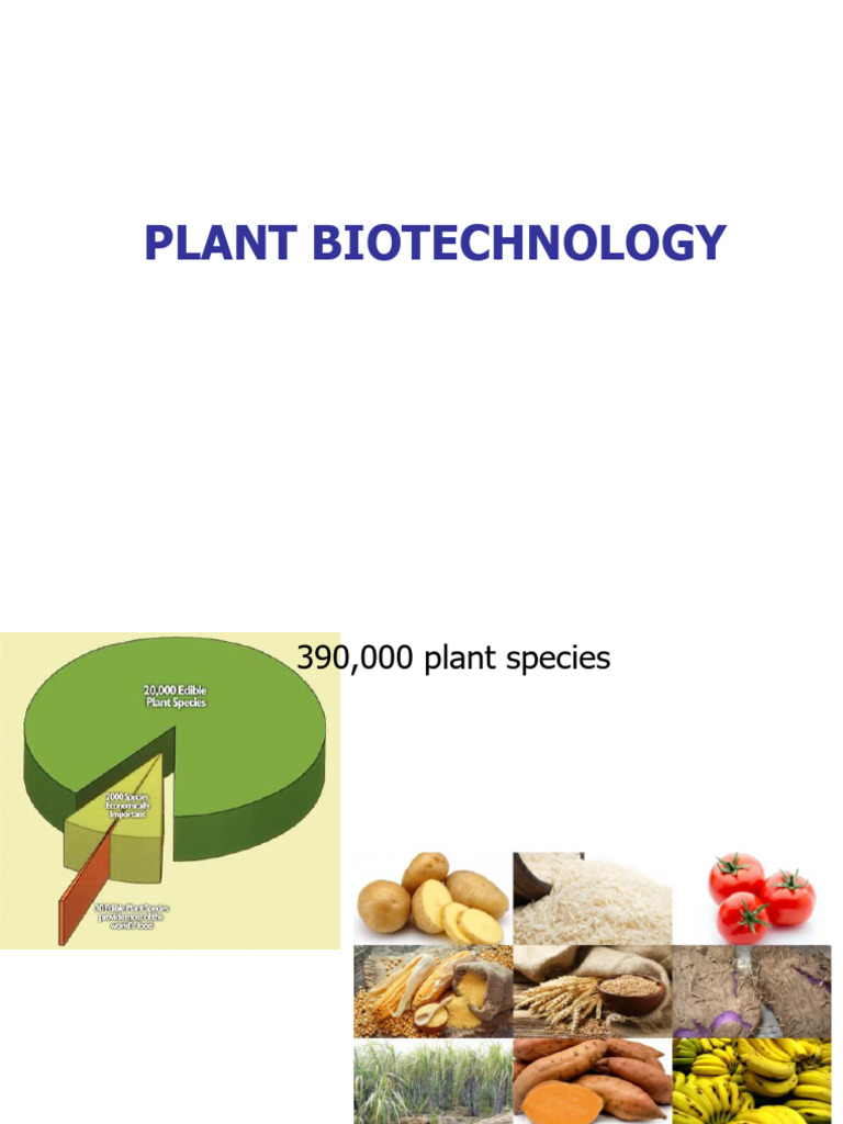 Plant Biotech-BB | PDF