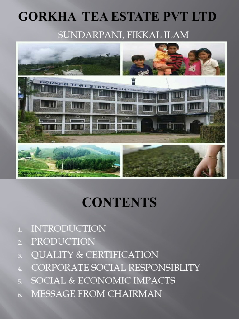 Gorkha Tea Estate PVT LTD | PDF