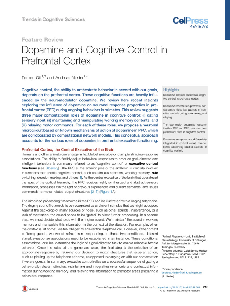 Ott, Nieder (2019) TICS | PDF | Prefrontal Cortex | Executive Functions