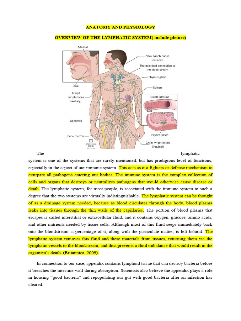 Lymphatic System ANATOMY AND PHYSIOLOGY | PDF