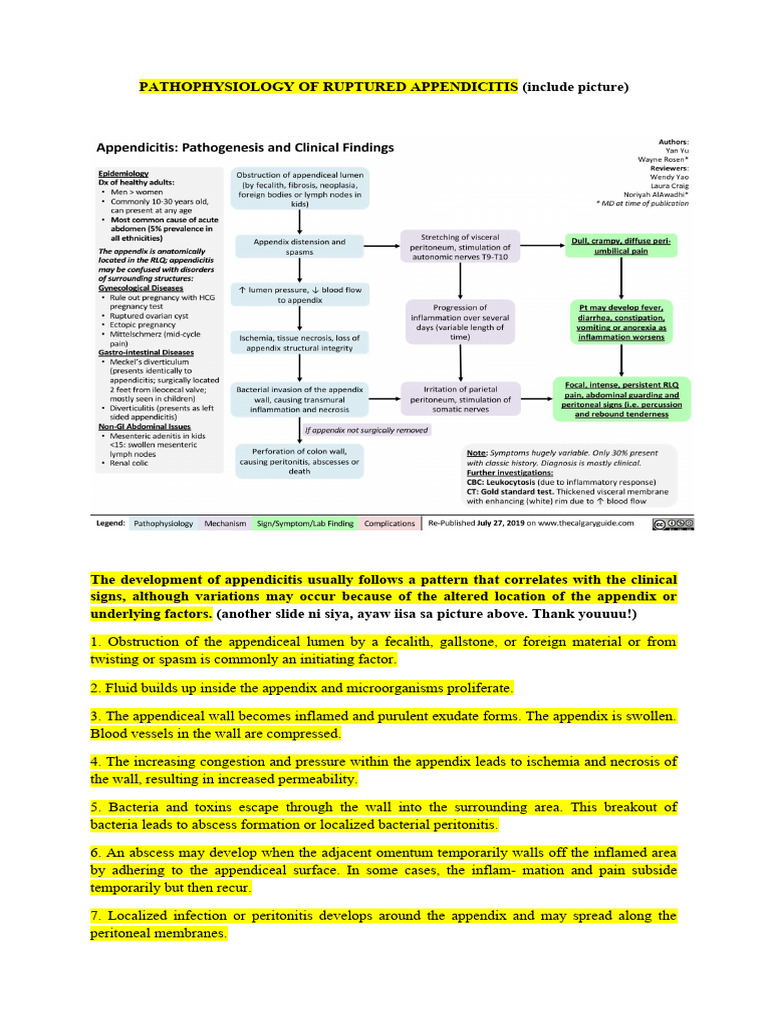 Pathophysiology of Ruptured Appendicitis | PDF