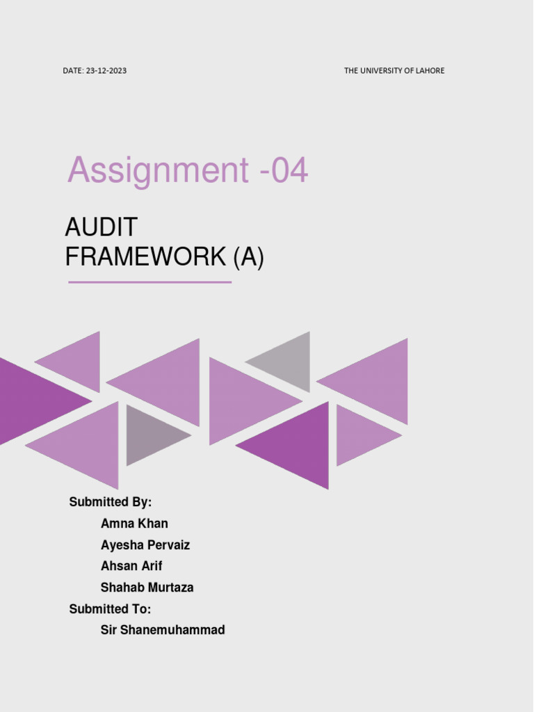 Audit Framework | PDF | Accounts Payable | Internal Control