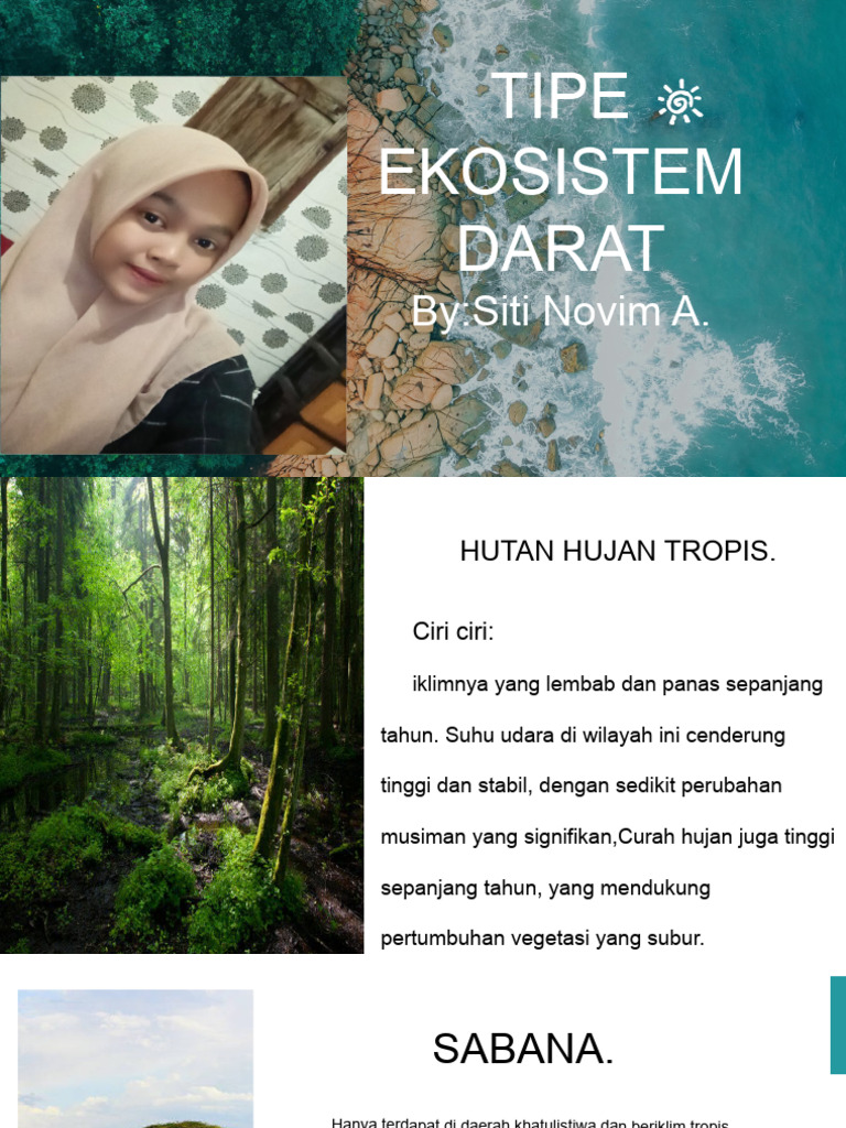 Tipe Ekosistem Novim XD | PDF