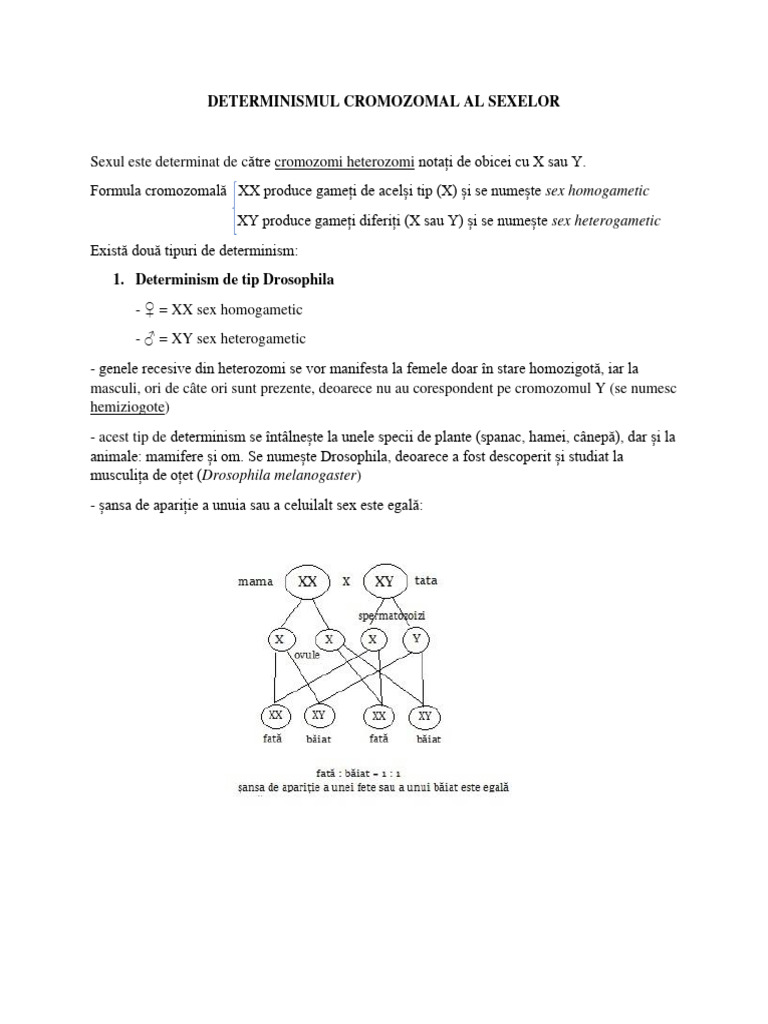 0 Determinismul Cromozomal Al Sexelor | PDF