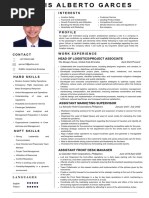 CAAP Org Chart | PDF | Transport Safety | Aviation Safety