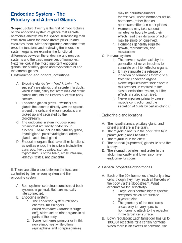 Endocrine System | PDF