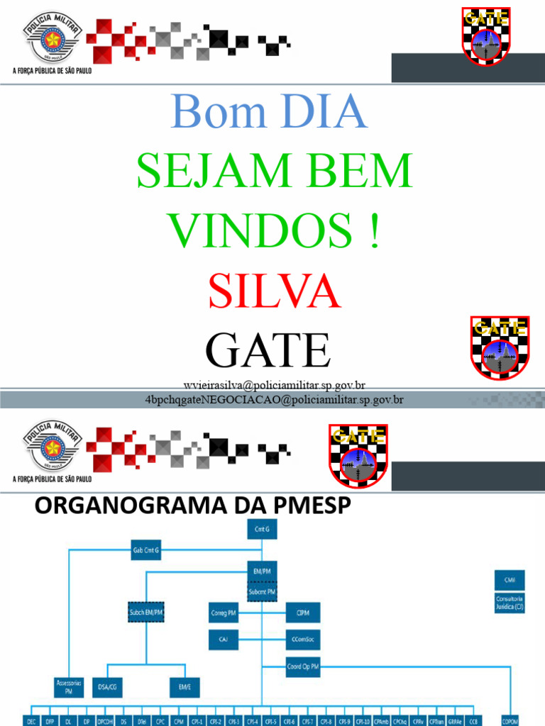 CNP GATE PMESP 2019 Gerenciamento de Crises - SGT Silva | PDF