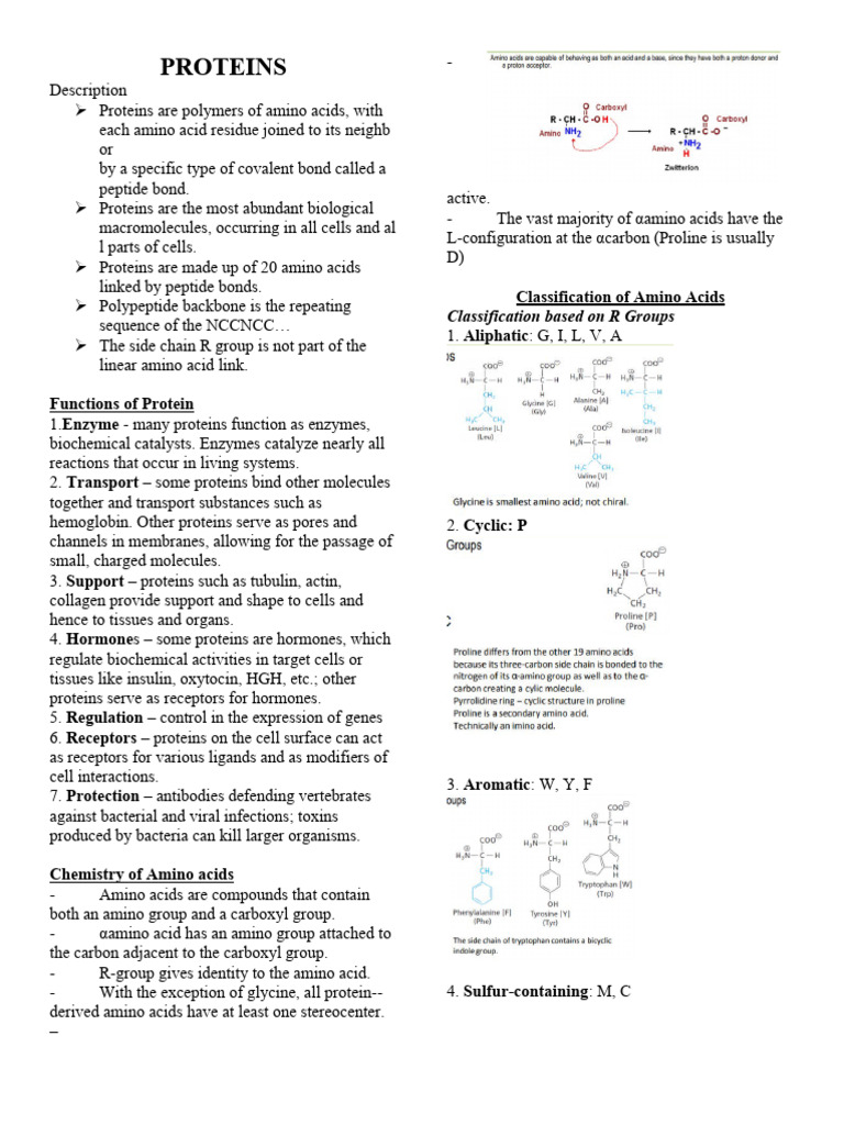 PROTEINS | PDF | Proteins | Amino Acid