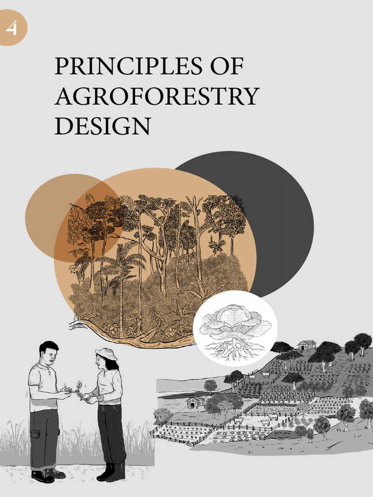 Agroforestry-Principles Design | Download Free PDF | Biodiversity ...