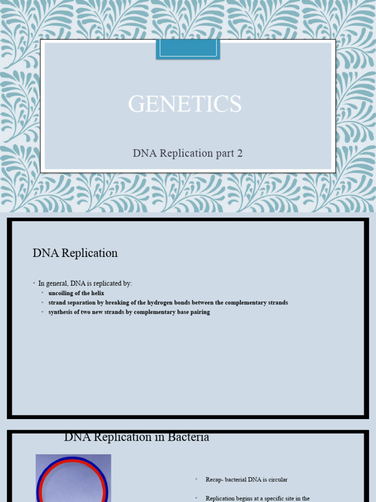 GENETICS LESSON 4 - DNA Replication Part 2 | PDF