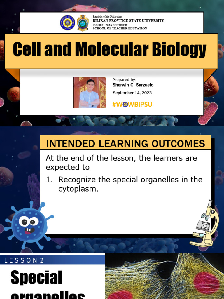 Special Organelles in The Cytoplasm Cell Bio | PDF