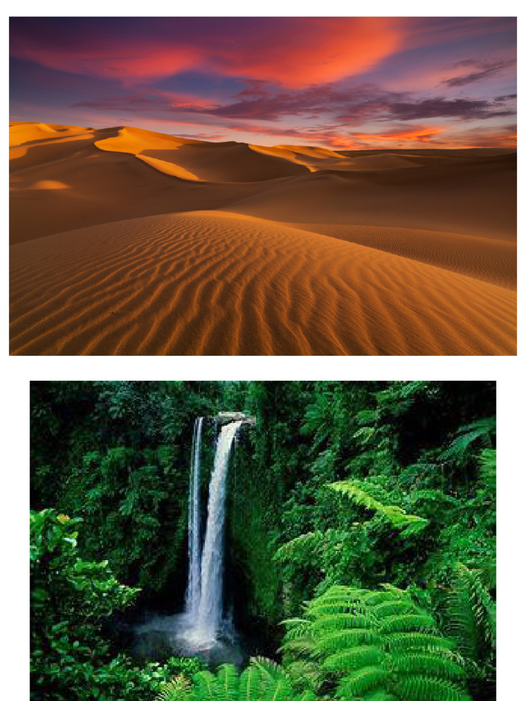 Science - Pictures For Desert Climate and Tropical Climate | PDF