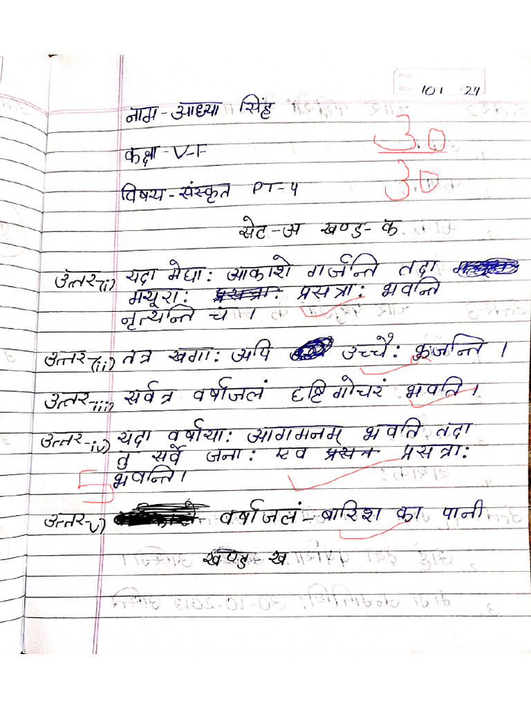 Student Correction | PDF