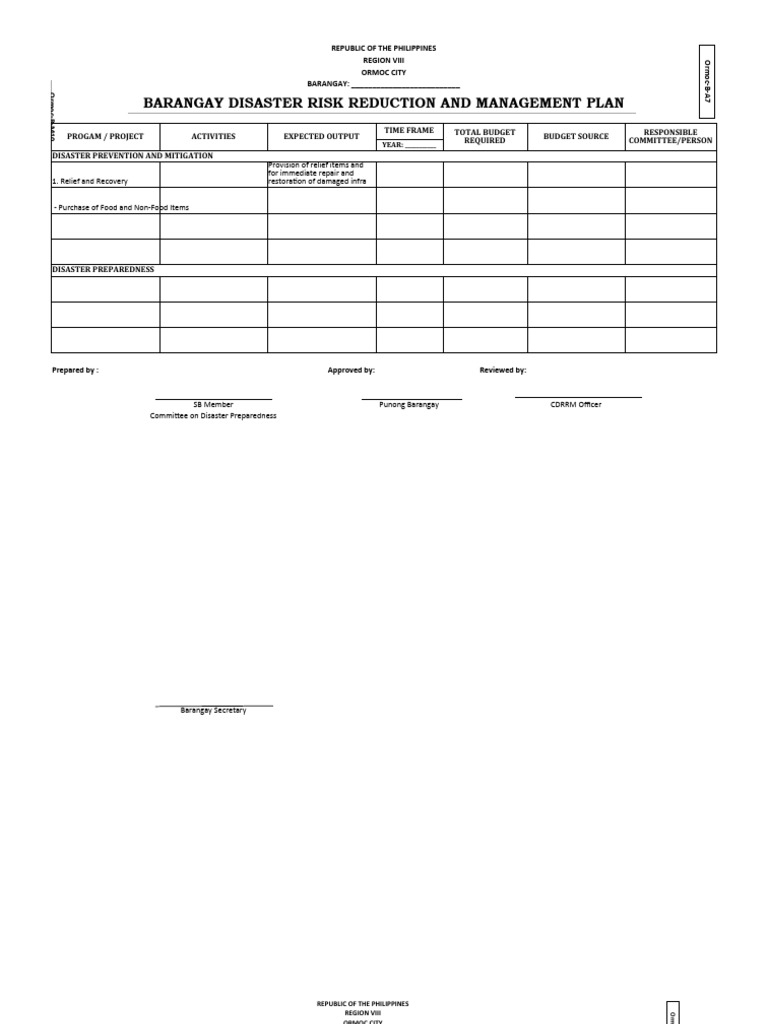 BDRRM Plan Cy 2023 Template | PDF
