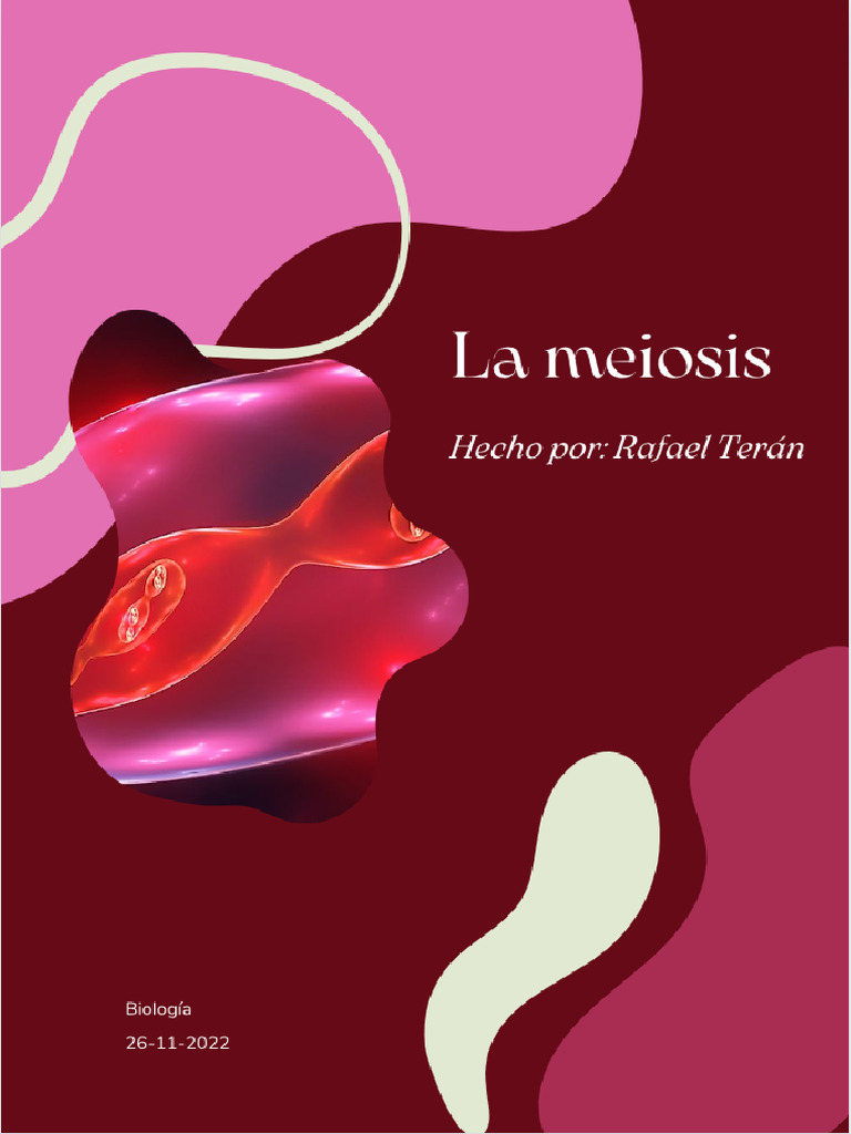La Meiosis Biología Pdf
