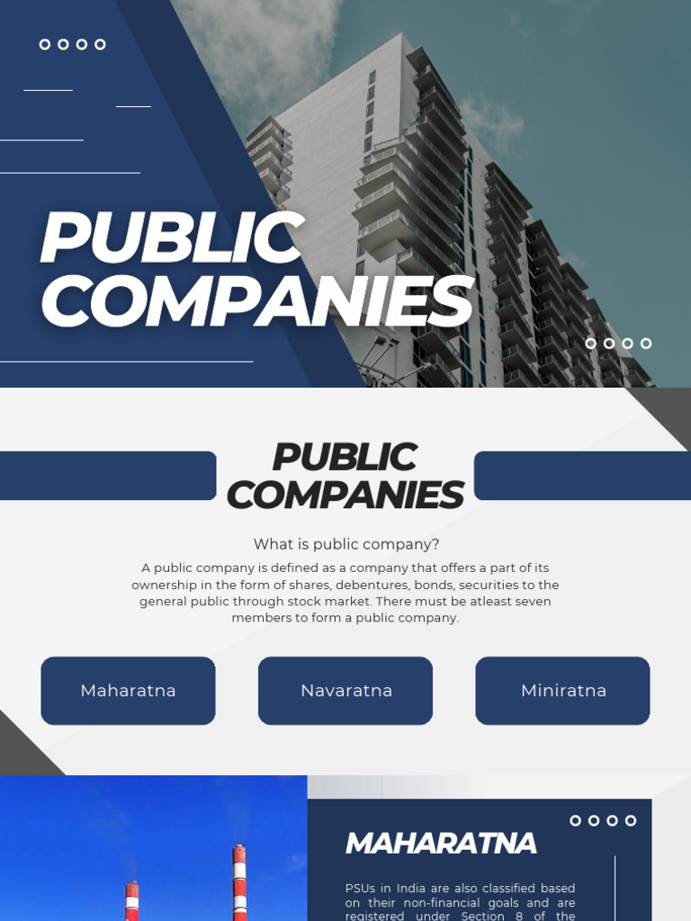 Public Companies | PDF | Corporations | Business Economics