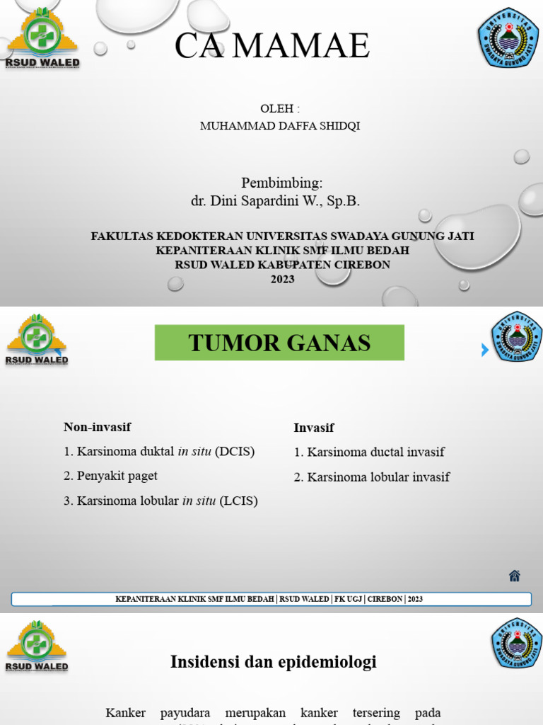 Ca Mamae Daffa | PDF